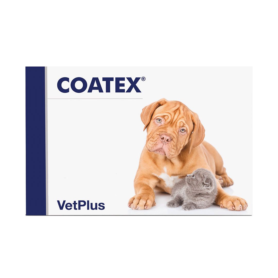 VetPlus Coatex 60 kaps dla psa i kota z zaburzeniami dermatologicznymi ...